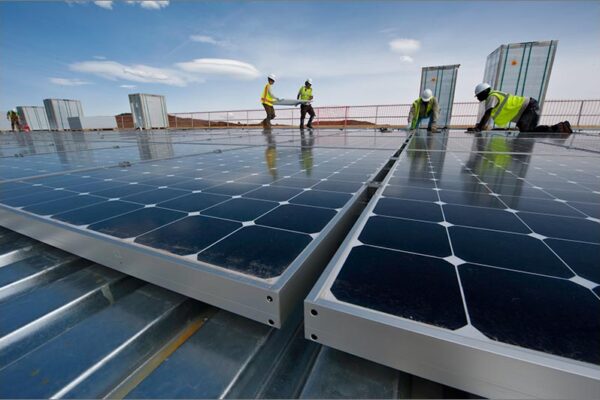Semi-transparent solar panels enable energy harvesting and growing ...